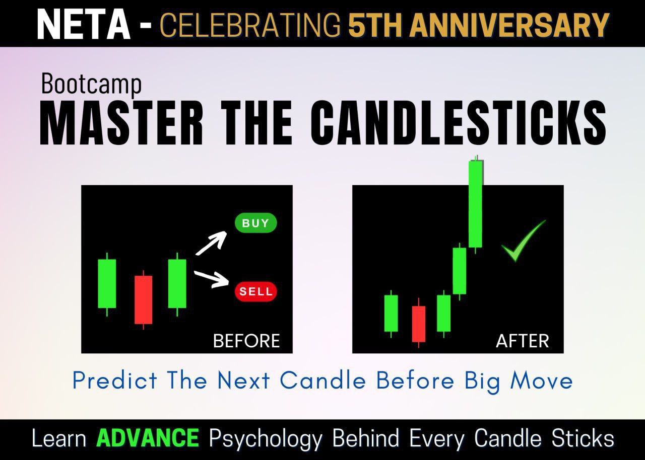 Elementor #314 - NETA - We Make Traders